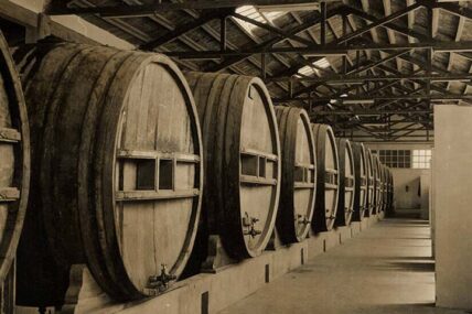 Bacardi Price Guide: Find The Perfect Bottle Of Rum (Guide)