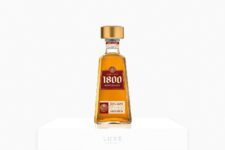 1800 Tequila Price List: Find The Perfect Bottle Of Tequila (Guide)
