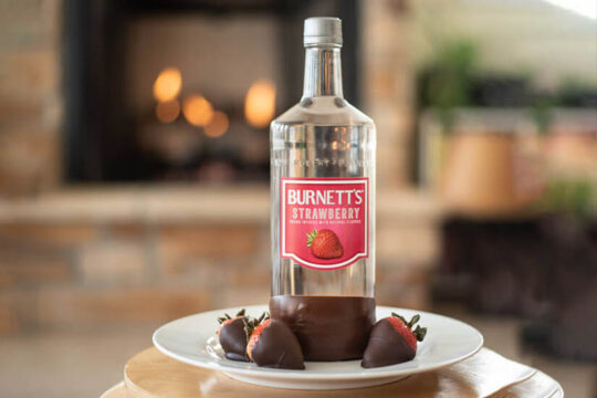 Burnett’s Price Guide: Find The Perfect Bottle Of Vodka (Guide)