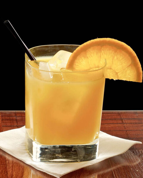 Grey Goose Price List: Find The Perfect Bottle Of Vodka (Guide)