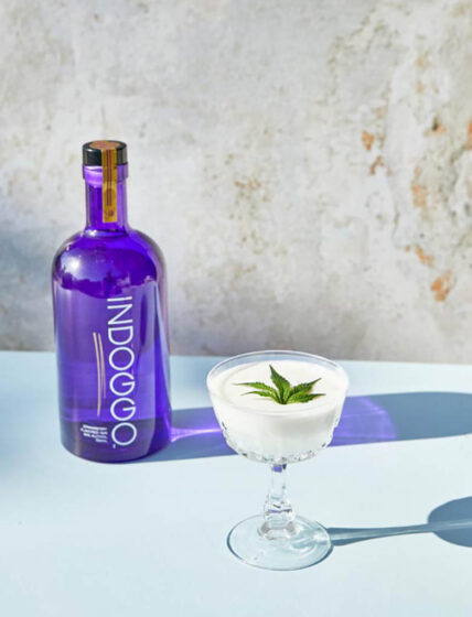 Indoggo Price Guide: Find The Perfect Bottle Of Gin (Guide)