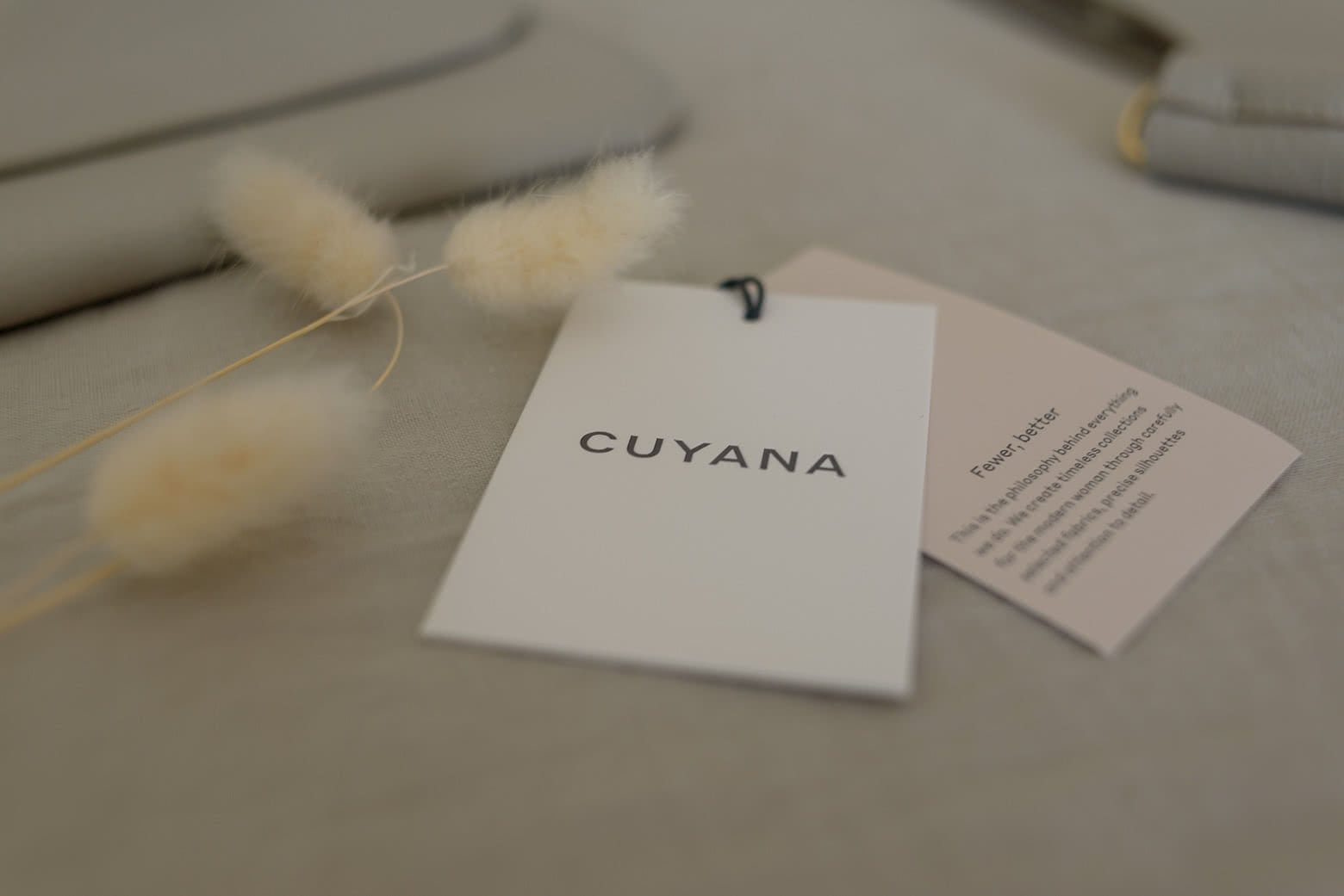 Cuyana System Tote Review: Minimalist Style, Maximalist Function