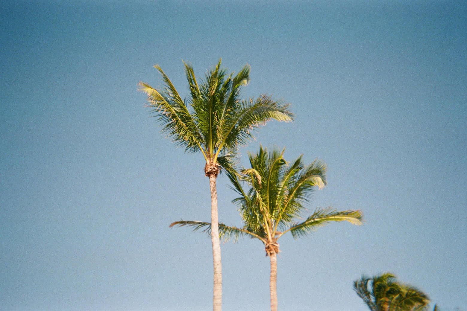 Andie Swim Review: A Flattering Fit For Every Body