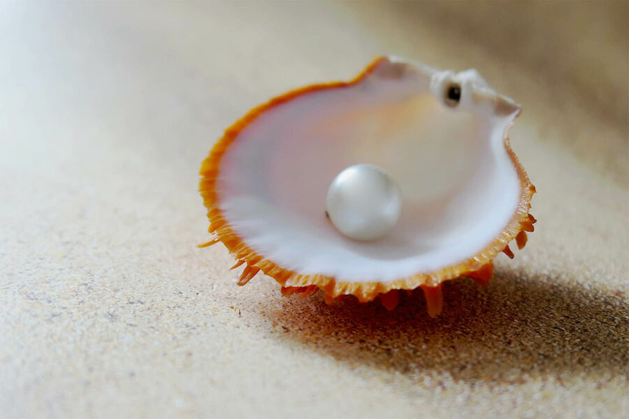 Pearl Gemstone: Meaning, Properties & Value