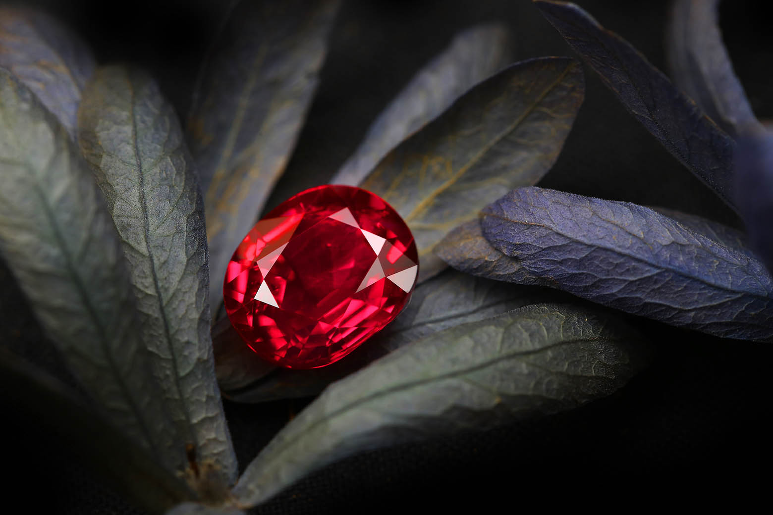 Garnet Stone: Its Meaning, Properties & Value
