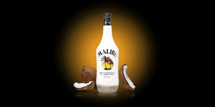 Malibu Price List: Find The Perfect Bottle Of Rum (Guide)