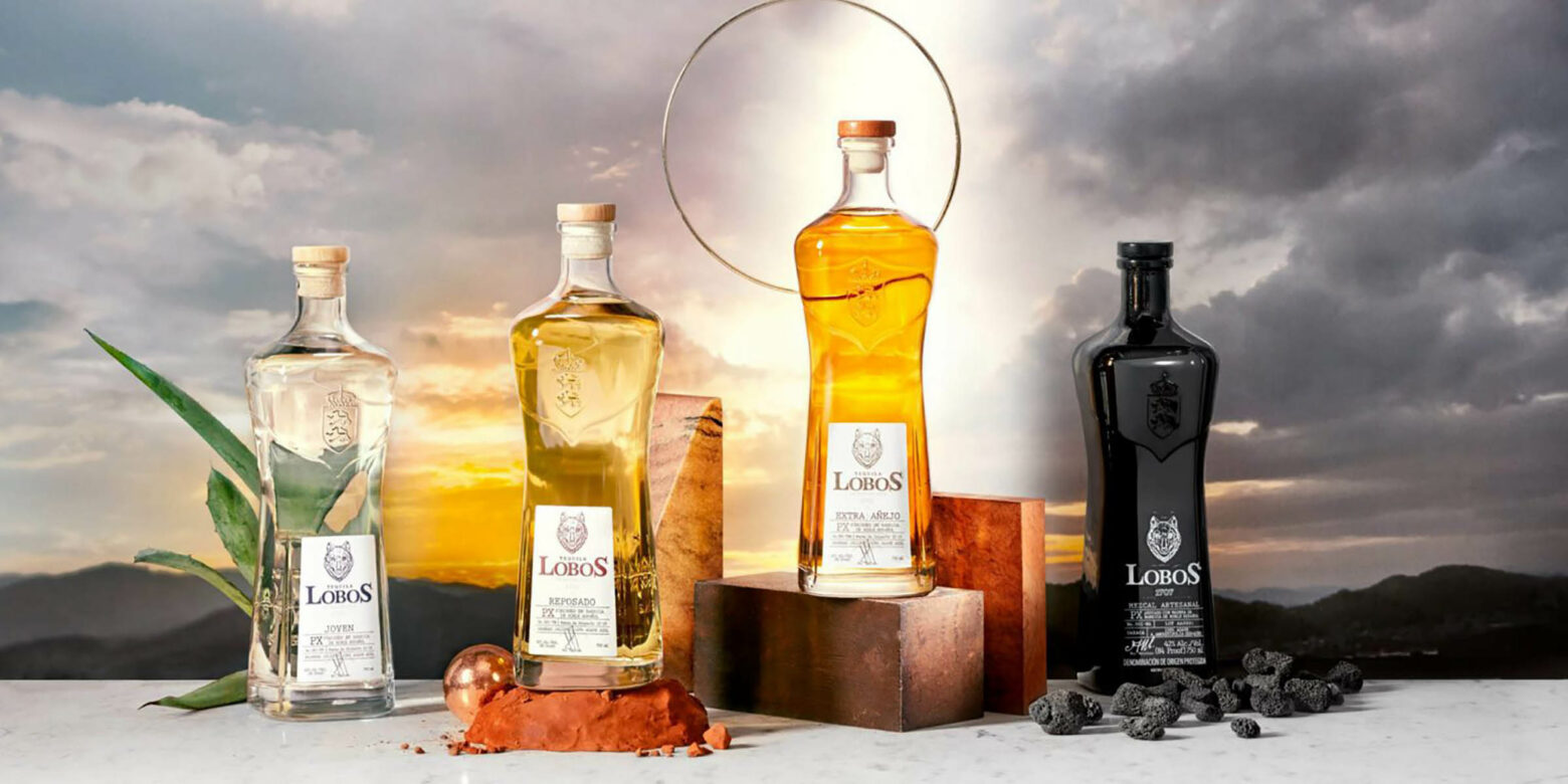 Lobos 1707 Price Guide: Find The Perfect Bottle Of Tequila (Guide)