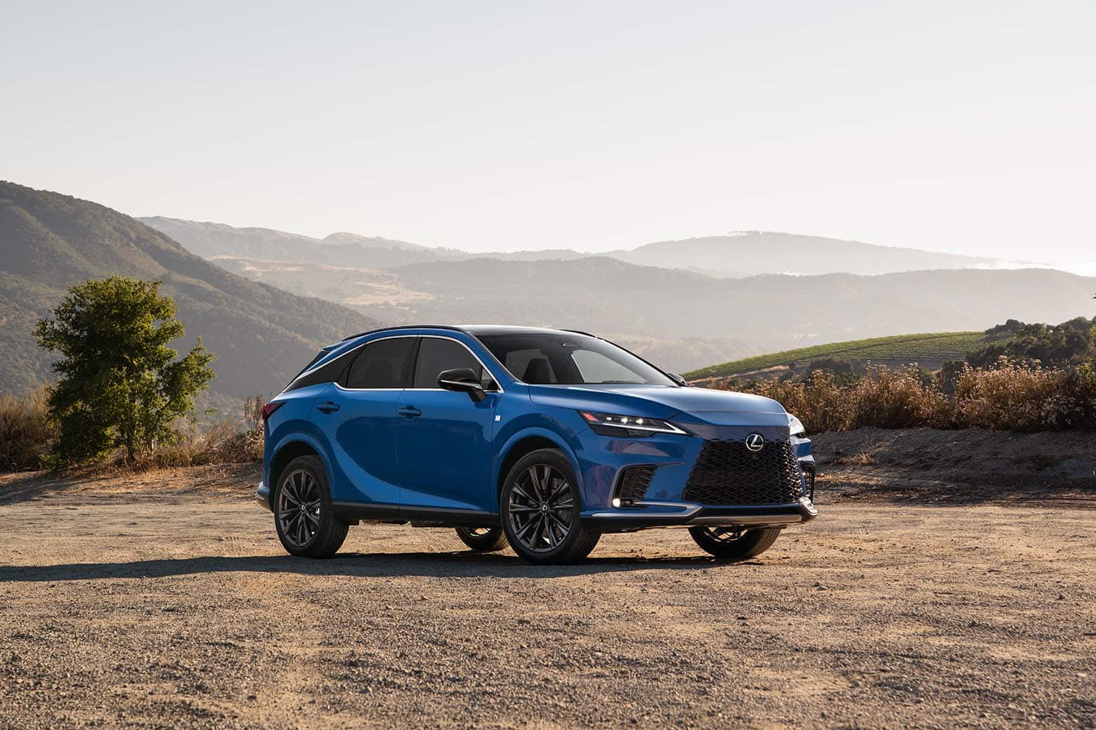 Lexus Car and SUV List: Price, Reviews, and Specs