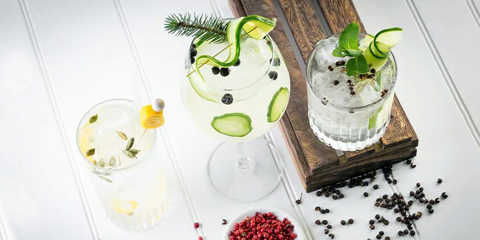 15 Best Gin Brands In The World: Gins You Have To Try (Guide)
