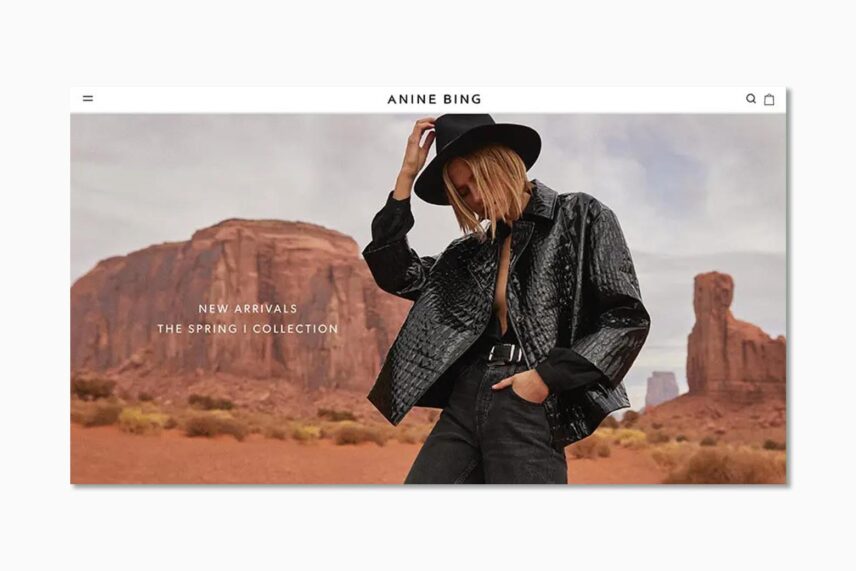 Top 15 Best Digital Native Luxury DTC Brands Online