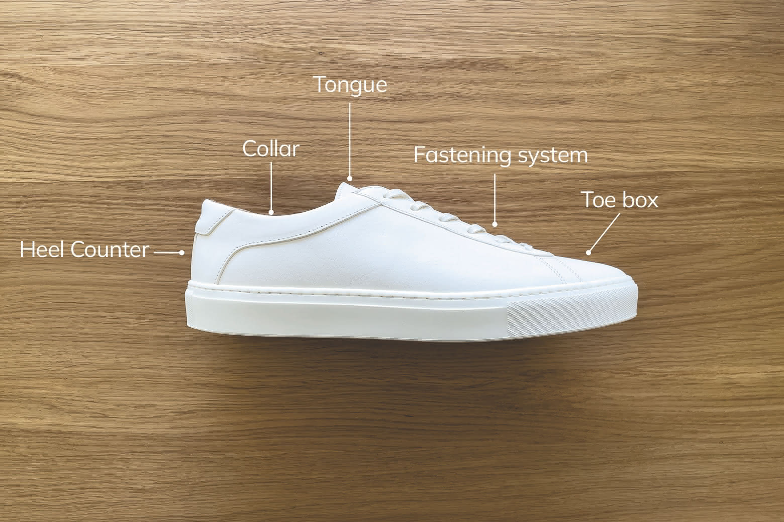 Parts Of A Shoe: The Anatomy Of A Sneaker
